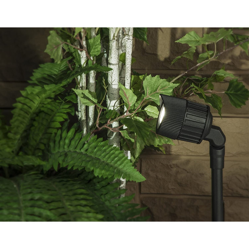 PARADISE Black Plug-in Integrated LED Pathway Light | Wayfair