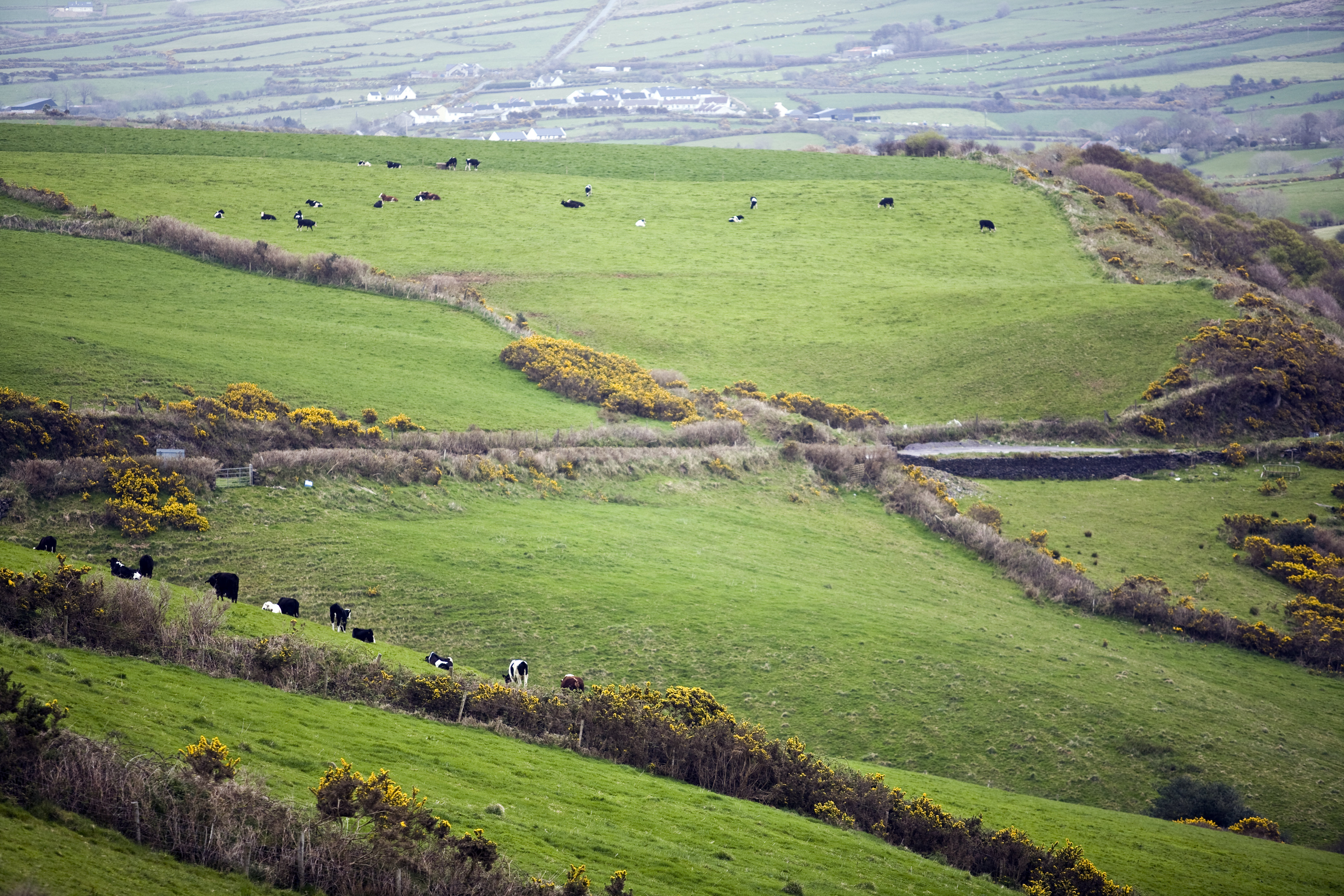 Ebern Designs Quintessential Ireland by Rasimon | Wayfair