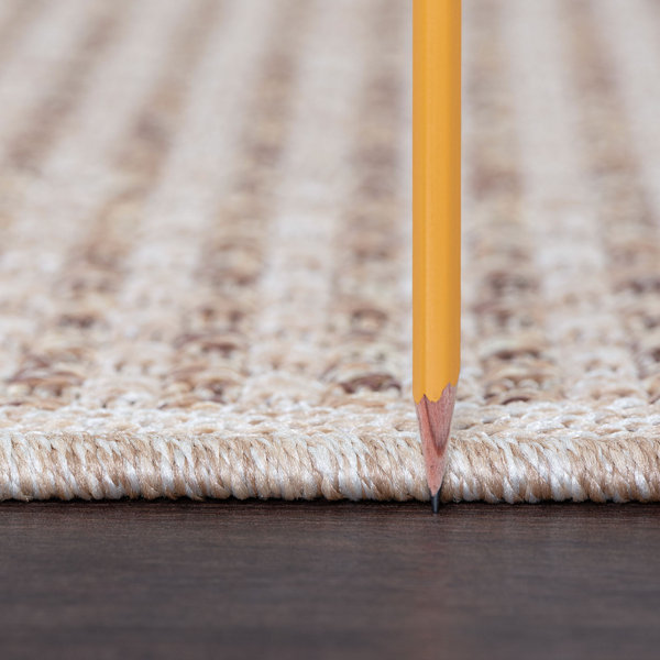 Sol 72 Outdoor™ Abigayle Indoor / Outdoor Rug & Reviews | Wayfair