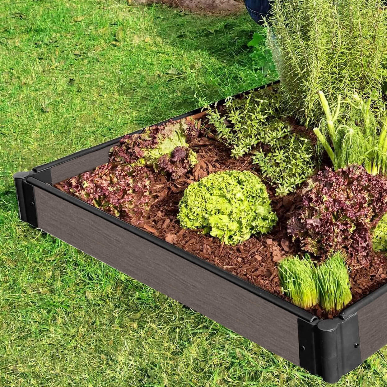 Frame It All 4 ft x 8 ft Composite Raised Garden Bed | Wayfair