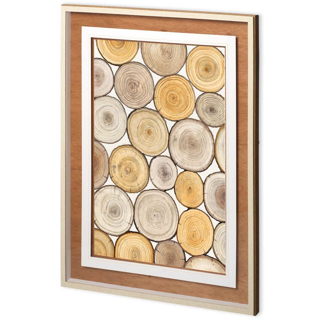 Loon Peak® Tree Ring Study II Framed On Paper Print | Wayfair