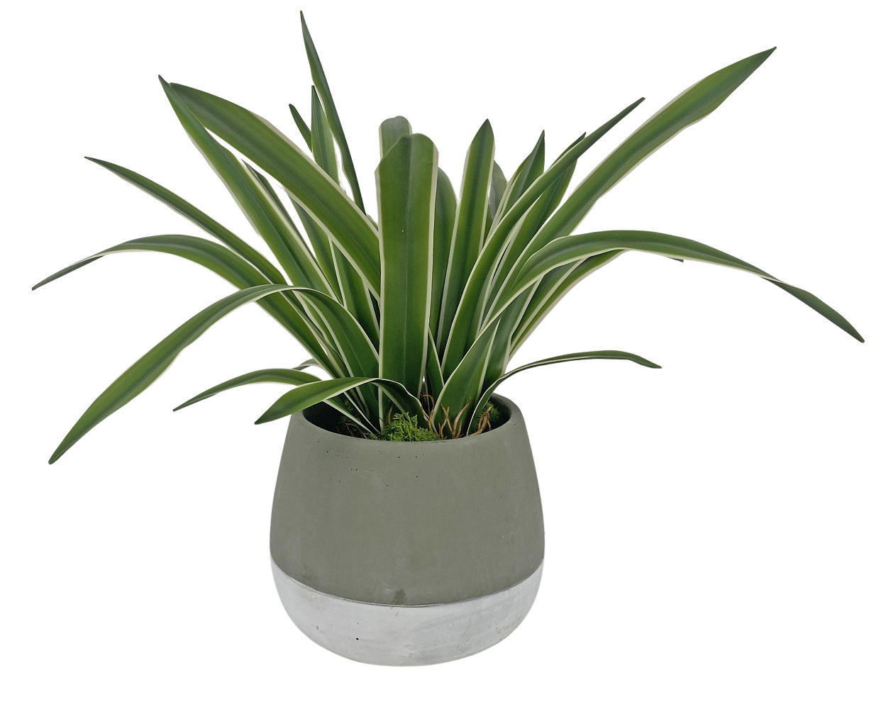 Primrue 2 Piece Artificial Yucca Plant in Decorative Vase | Wayfair