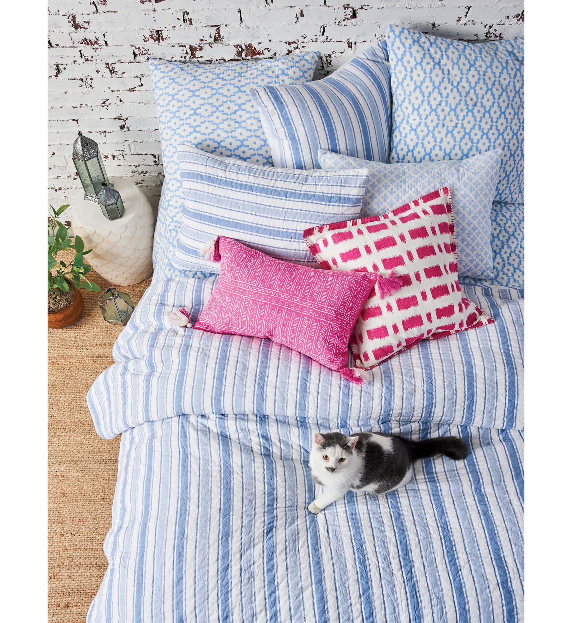 Birch Lane™ Reggie Blue/White Cotton Blend Reversible Farmhouse/Country ...
