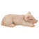 Hi-Line Gift Ltd. Pig Sleeping Statue & Reviews | Wayfair