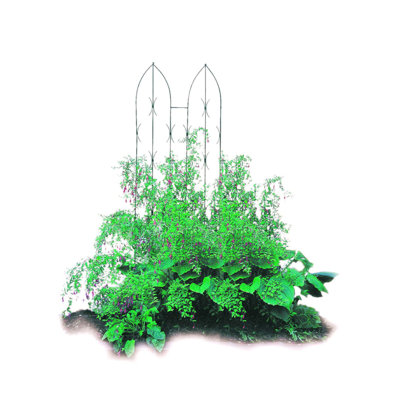 Ophelia & Co. Marblehead 180cm H x 58cm W Gothic Trellis | Wayfair.ie