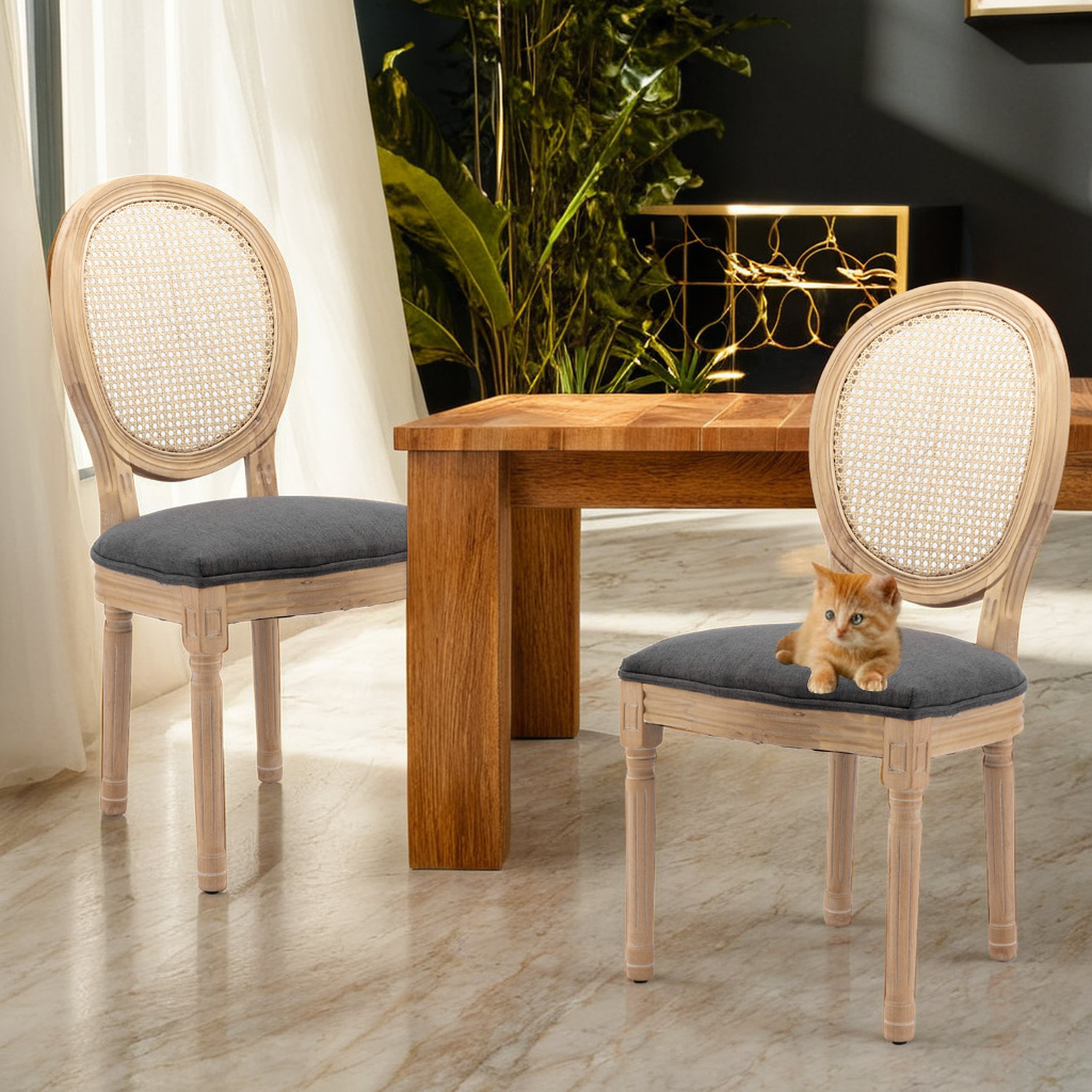 Ophelia & Co. French Style Rattan Back Dining Chair Solid Wood(Set of 2 ...