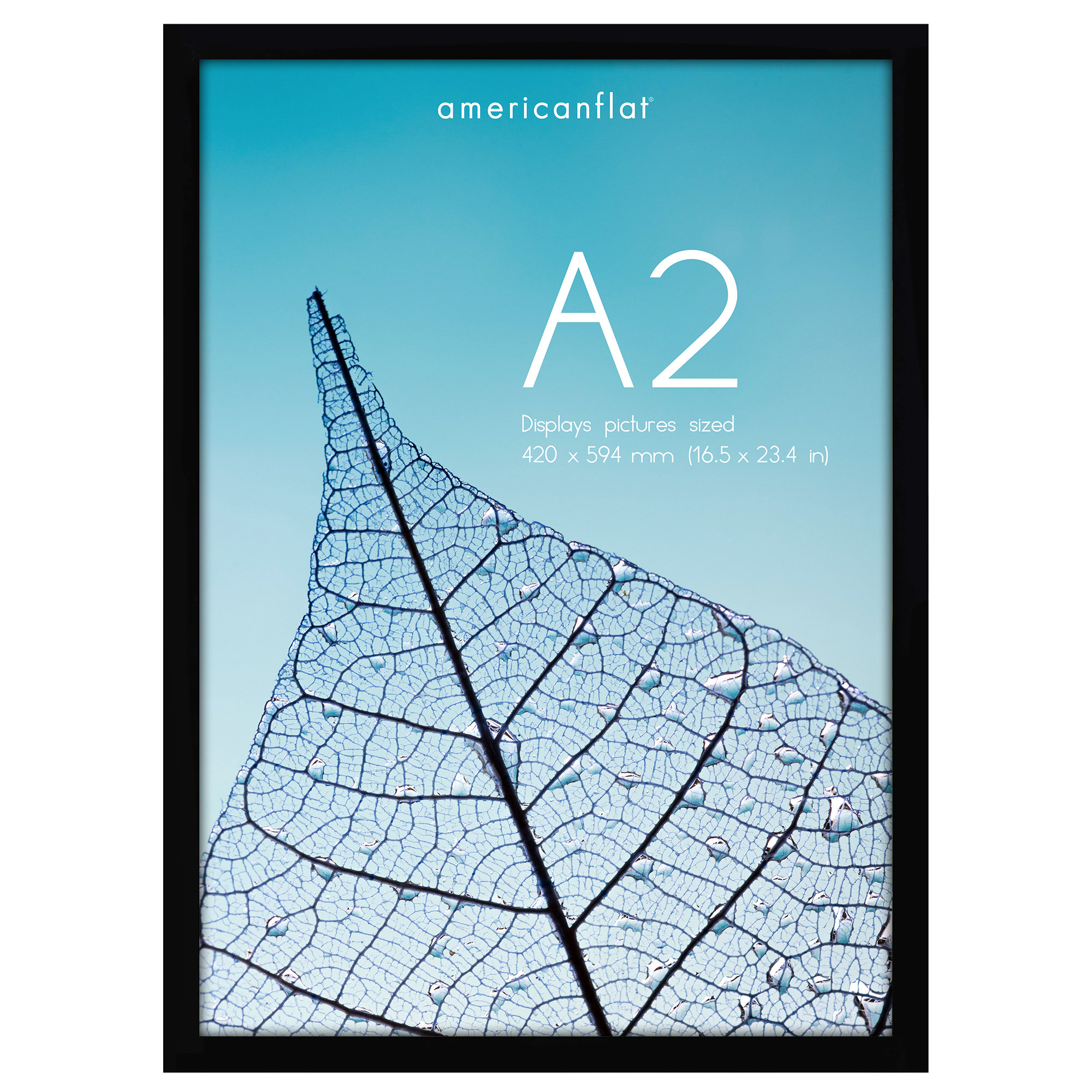 Americanflat A2 A3 A4 A5 Picture Frame And Poster Frame For Displaying ...