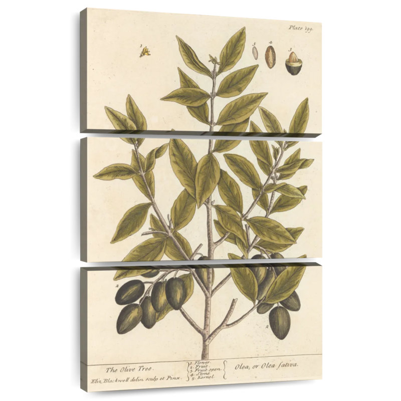 Winston Porter Olive Branch II | Wayfair