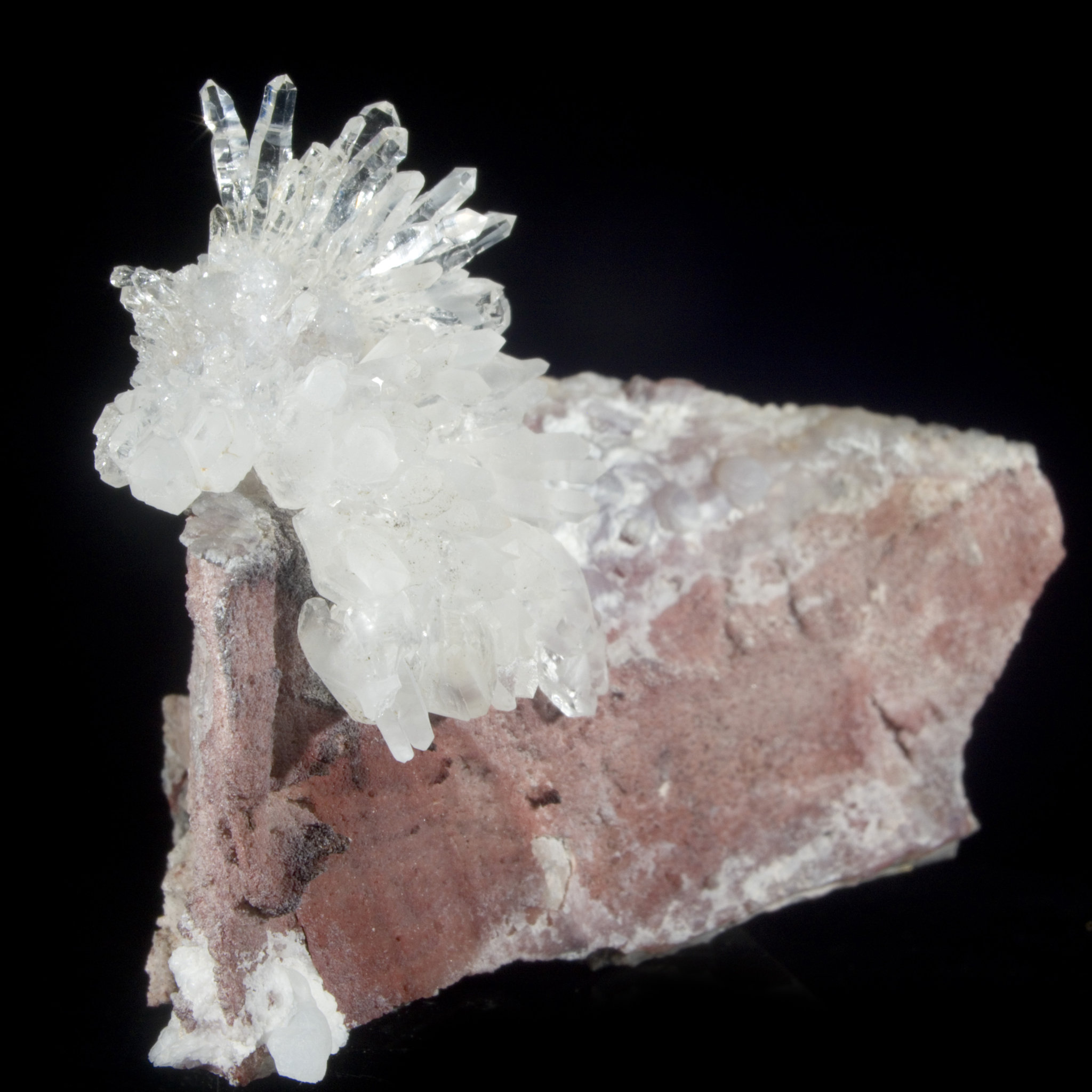 Dakota Fields Sceptered Quartz Rosette - Dugway, Utah | Wayfair