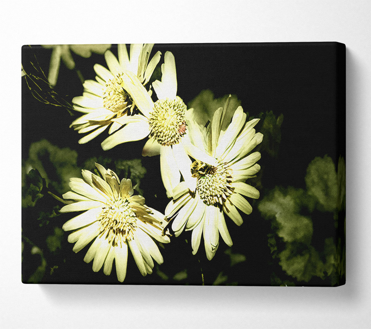 ModernMoments Sepia Beauty - Print | Wayfair.co.uk