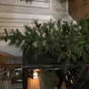 The Holiday Aisle® Ashland Fir Tree Ashland Fir Artificial Christmas ...