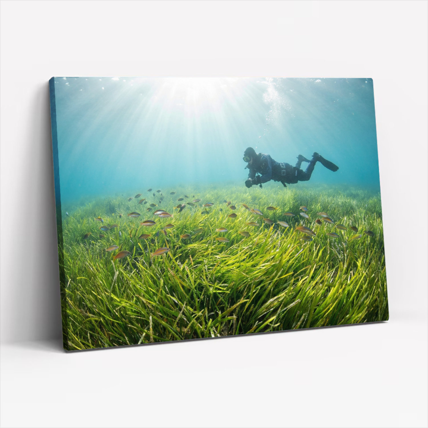 Bay Isle Home™ Underwater Scuba Diver And Seagrass Field Canvas Wrapped ...