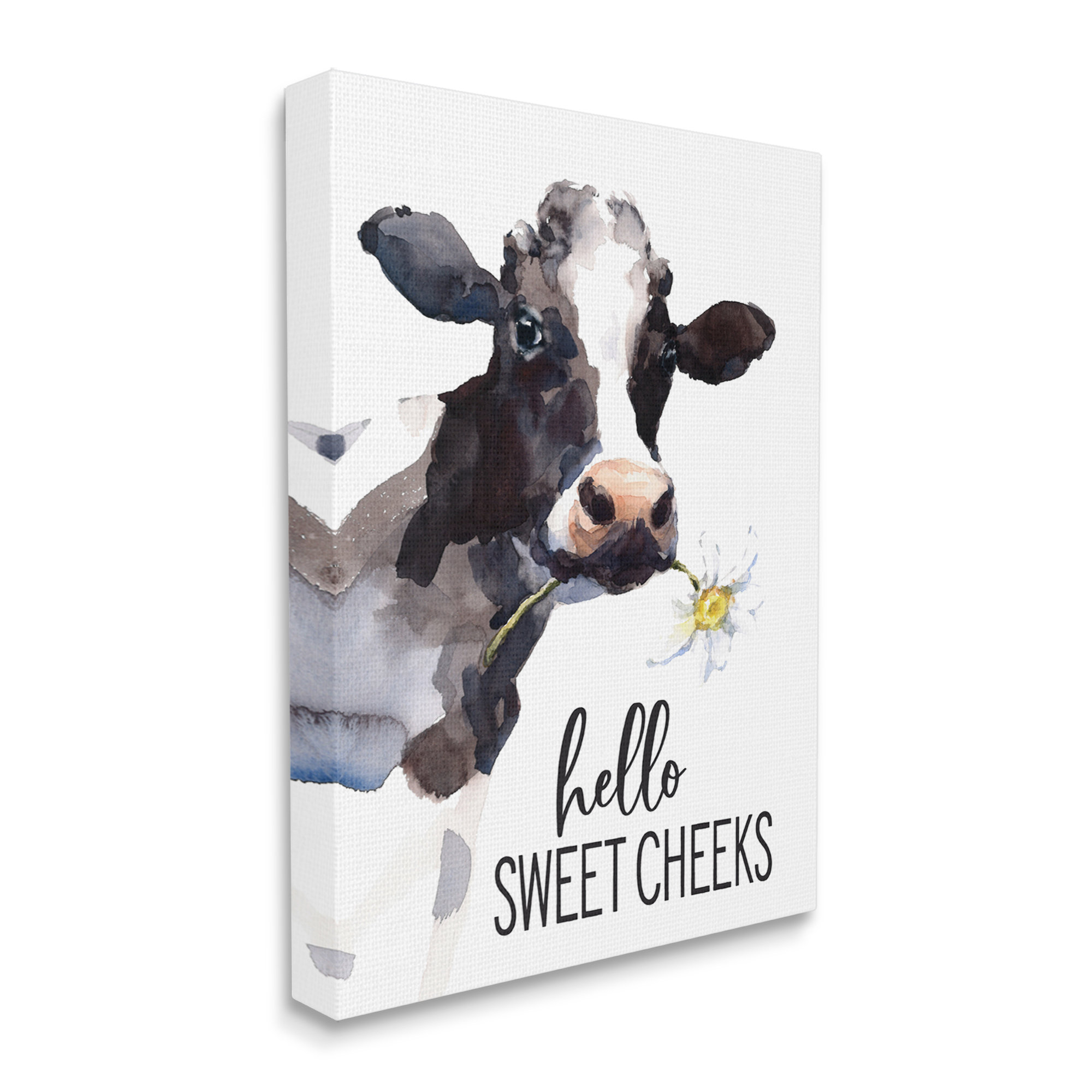 Stupell Industries Hello Sweet Cheeks Country Cow Cattle Holding Flower ...