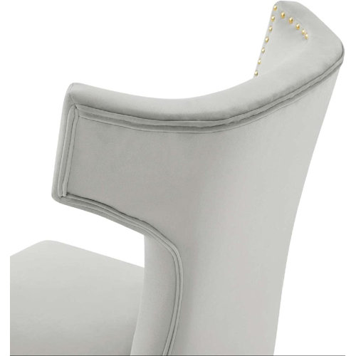 Rosdorf Park Giano Velvet Wing Back Parsons Chair | Wayfair