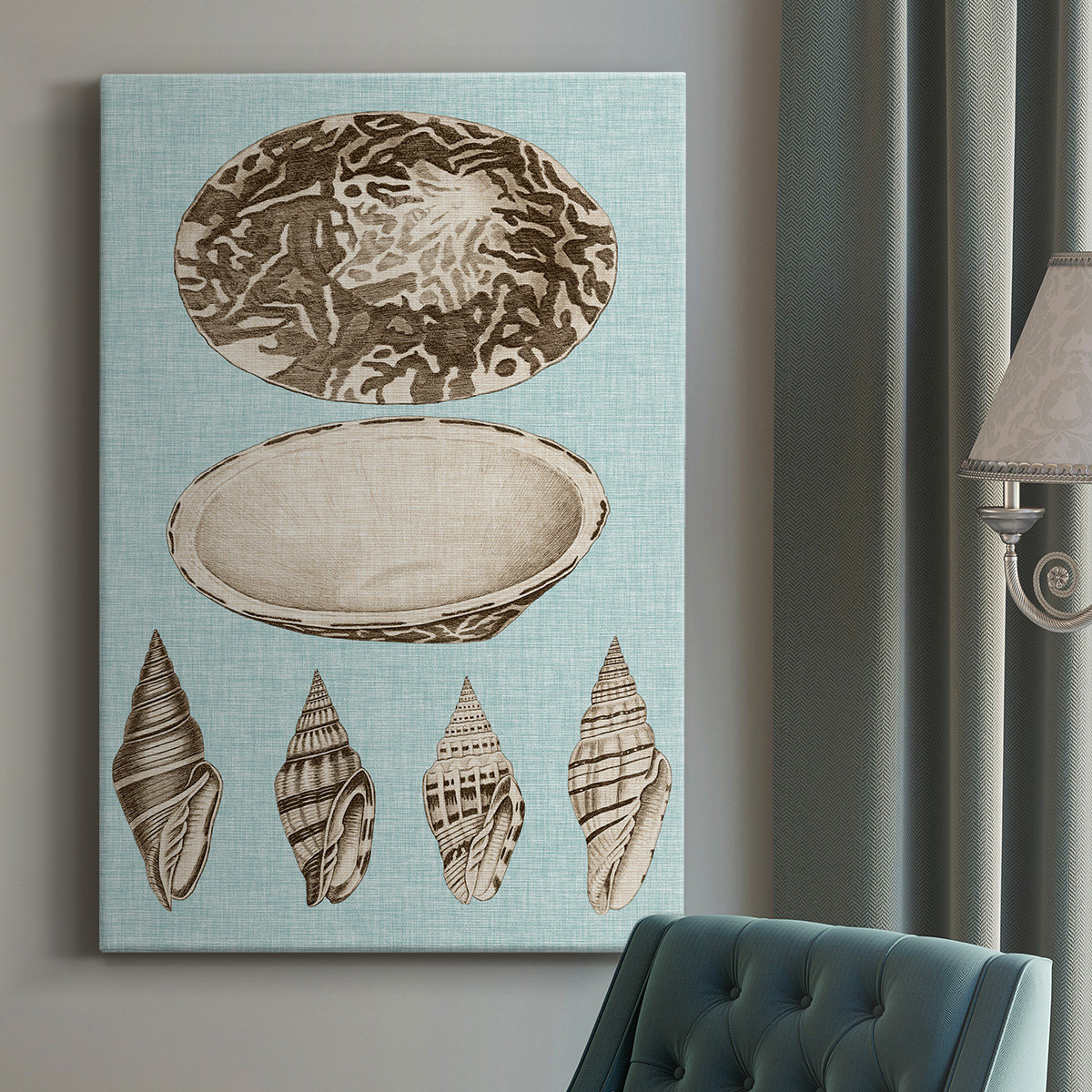 Dovecove Sepia & Aqua Shells III - Wrapped Canvas Painting | Wayfair