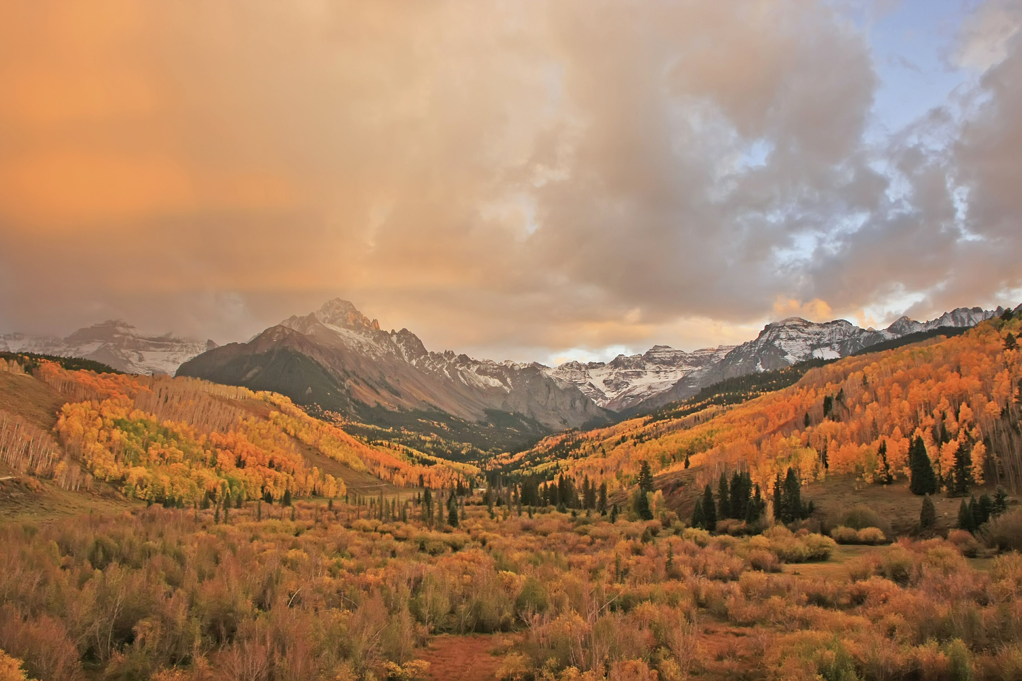 Millwood Pines Mount Sneffels, Colorado by - Wrapped Canvas Photograph ...