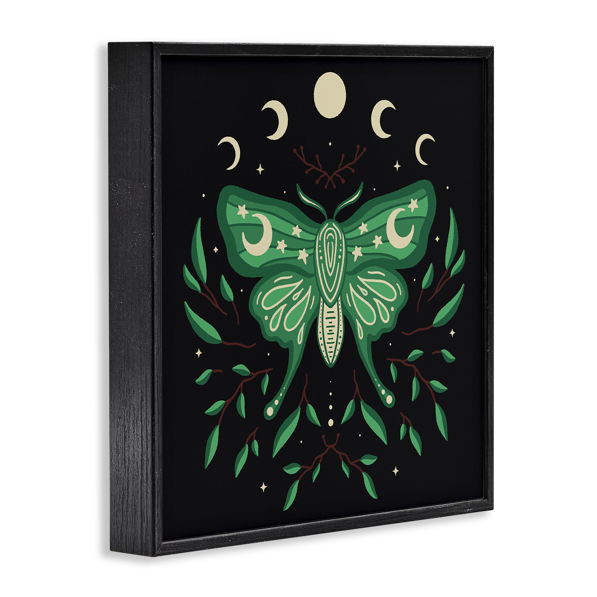 Stupell Industries Celestial Moth & Botanicals Framed Giclee Art by ...
