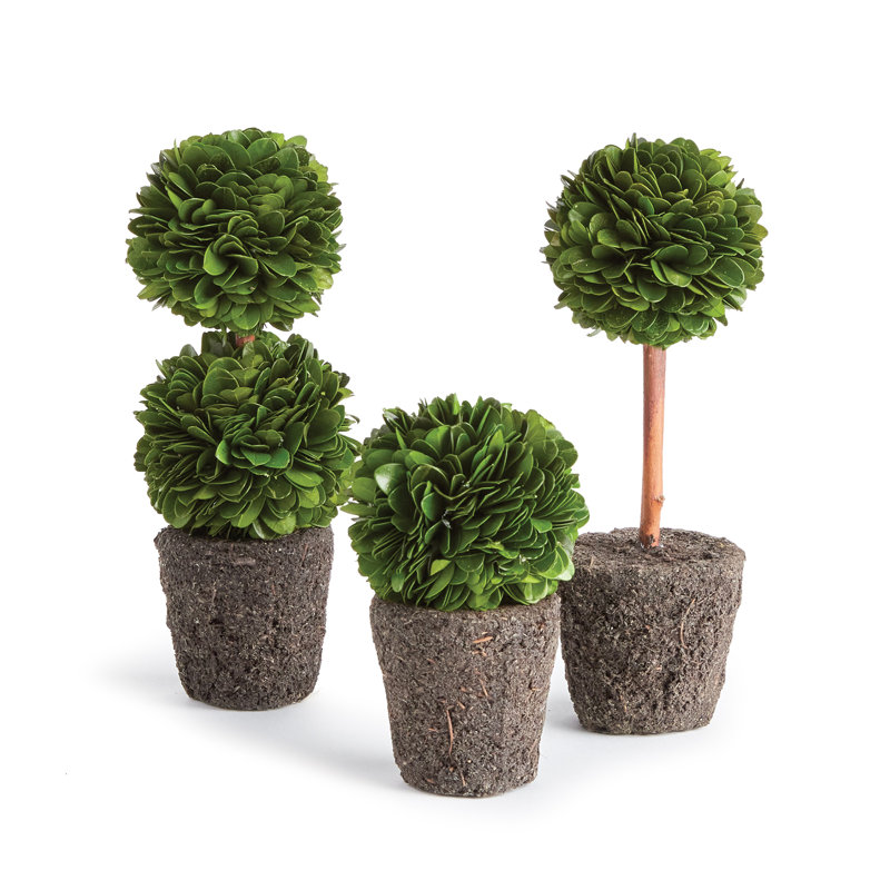 Three Posts™ Swader Centerpiece in Pot | Wayfair