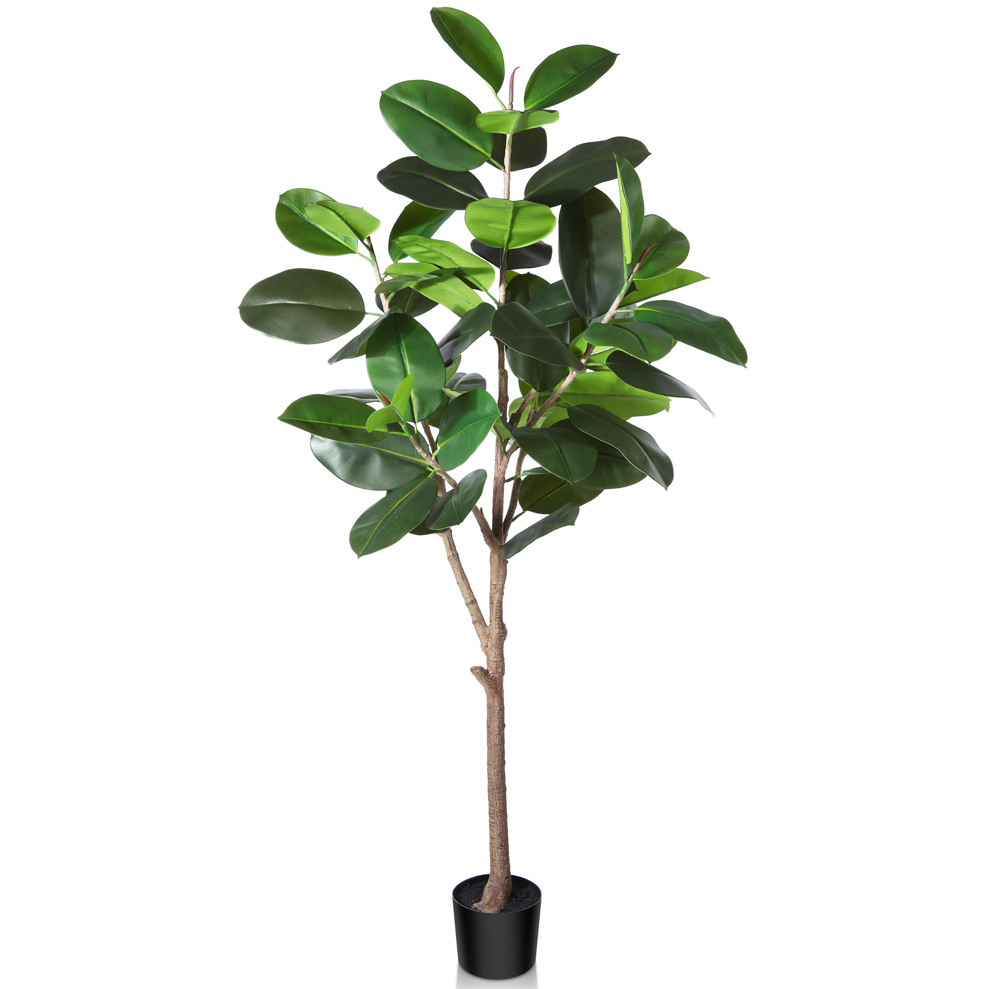 Primrue Artificial Rubber Tree in Pot & Reviews | Wayfair