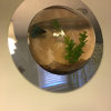Archie & Oscar™ Maryjane 1 Gallon Reflection Fish Bubble Deluxe ...