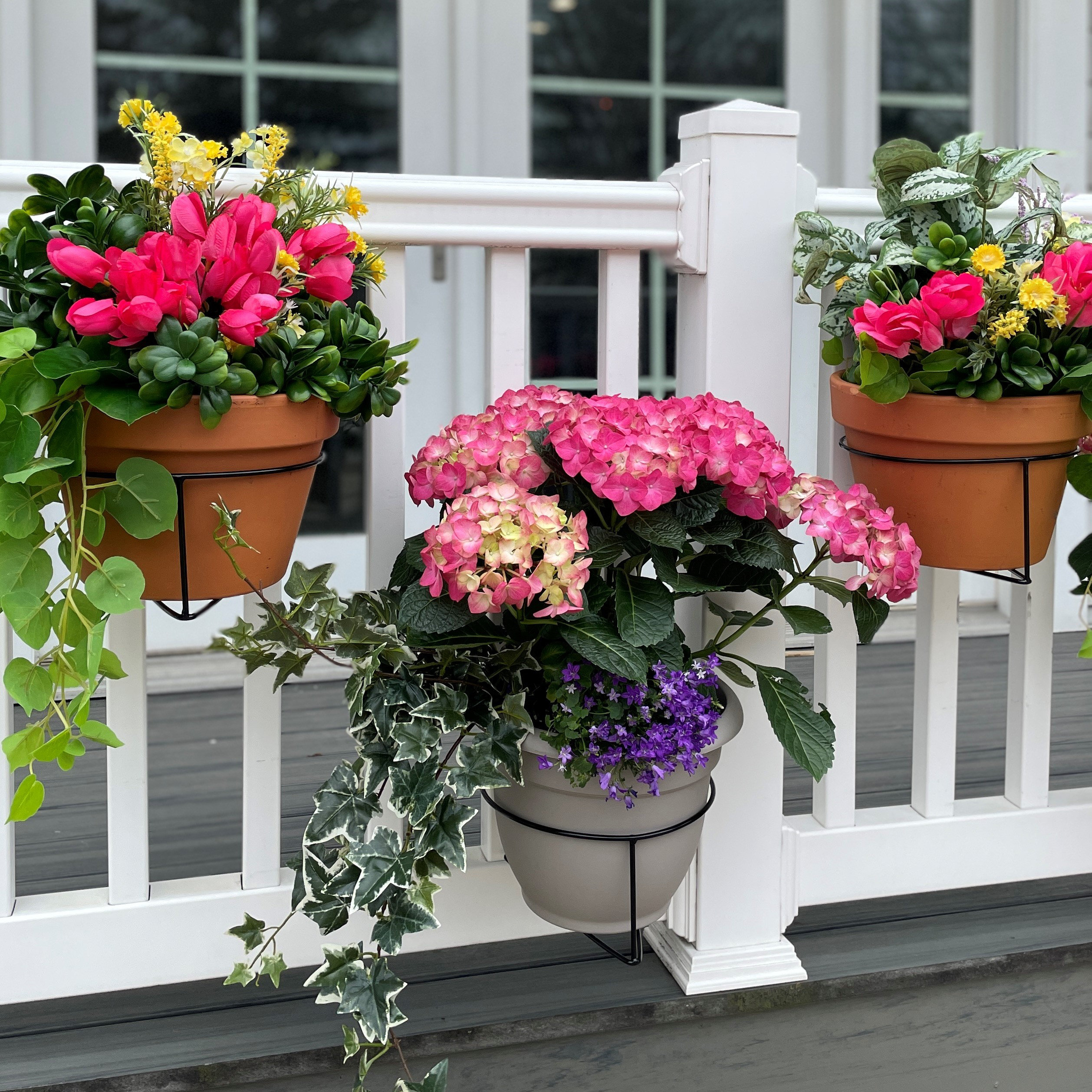 Bloem RailScapes Vertical Gardening Plant Clip For Thick Spindle ...