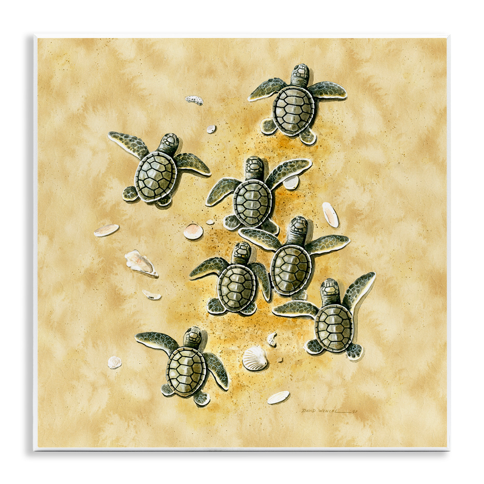 Highland Dunes Baby Sea Turtles Shore Wall Plaque Art by Art Brands ...