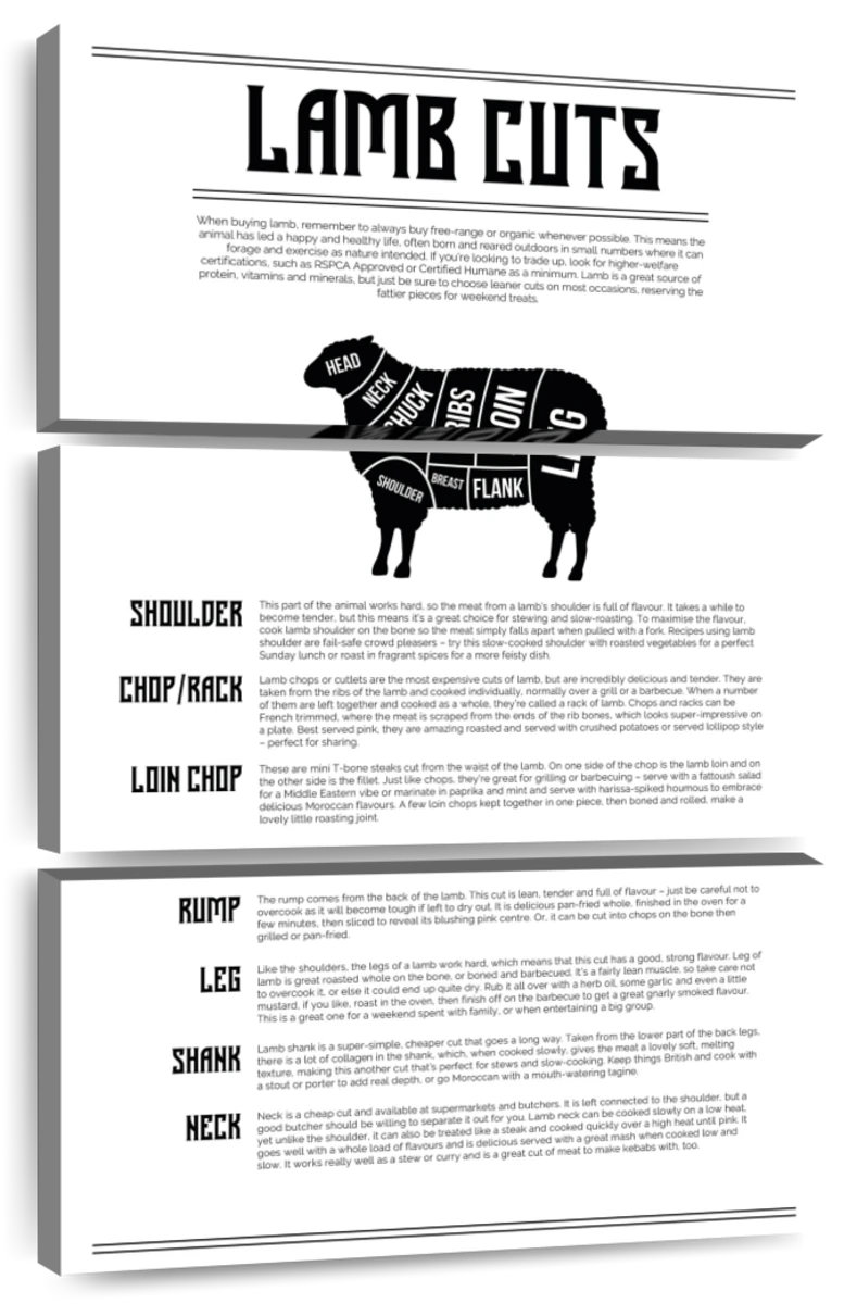 Elephant Stock Lamb Cuts Chart | Wayfair