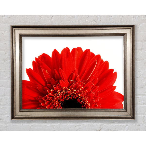 Bright Star Single Picture Frame Print | Wayfair.co.uk