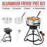 AiYchen Propane Outdoor Fish Fryer Set, 10 Quart Aluminum Seafood ...