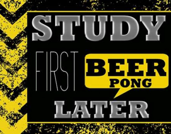 Trinx STUDY FIRST Poster Print By Taylor Greene (24 X 18) | Wayfair