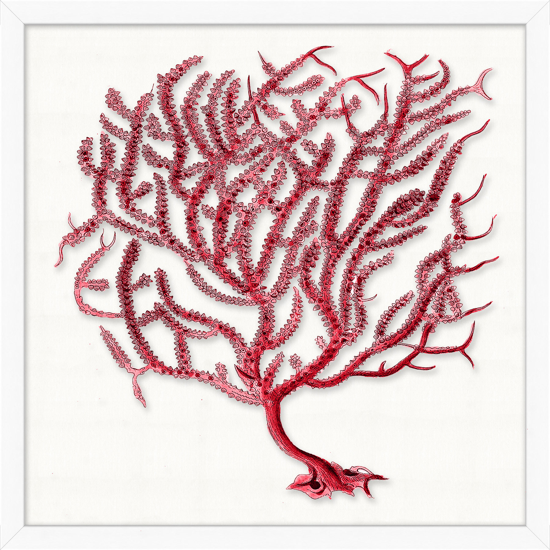 Wendover Art Group Red Branch Coral 3 By Lillian August - Picture Frame ...