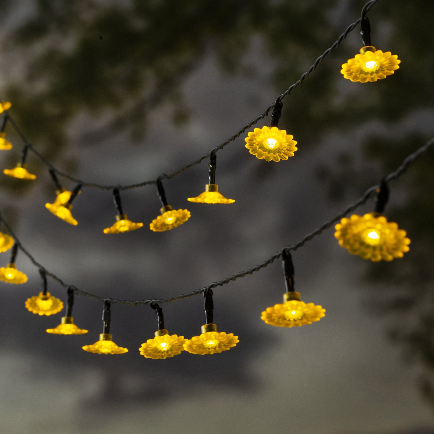 Bungalow Rose Lonnetta 30' Outdoor LED Solar Powered 50 - Bulb Novelty ...