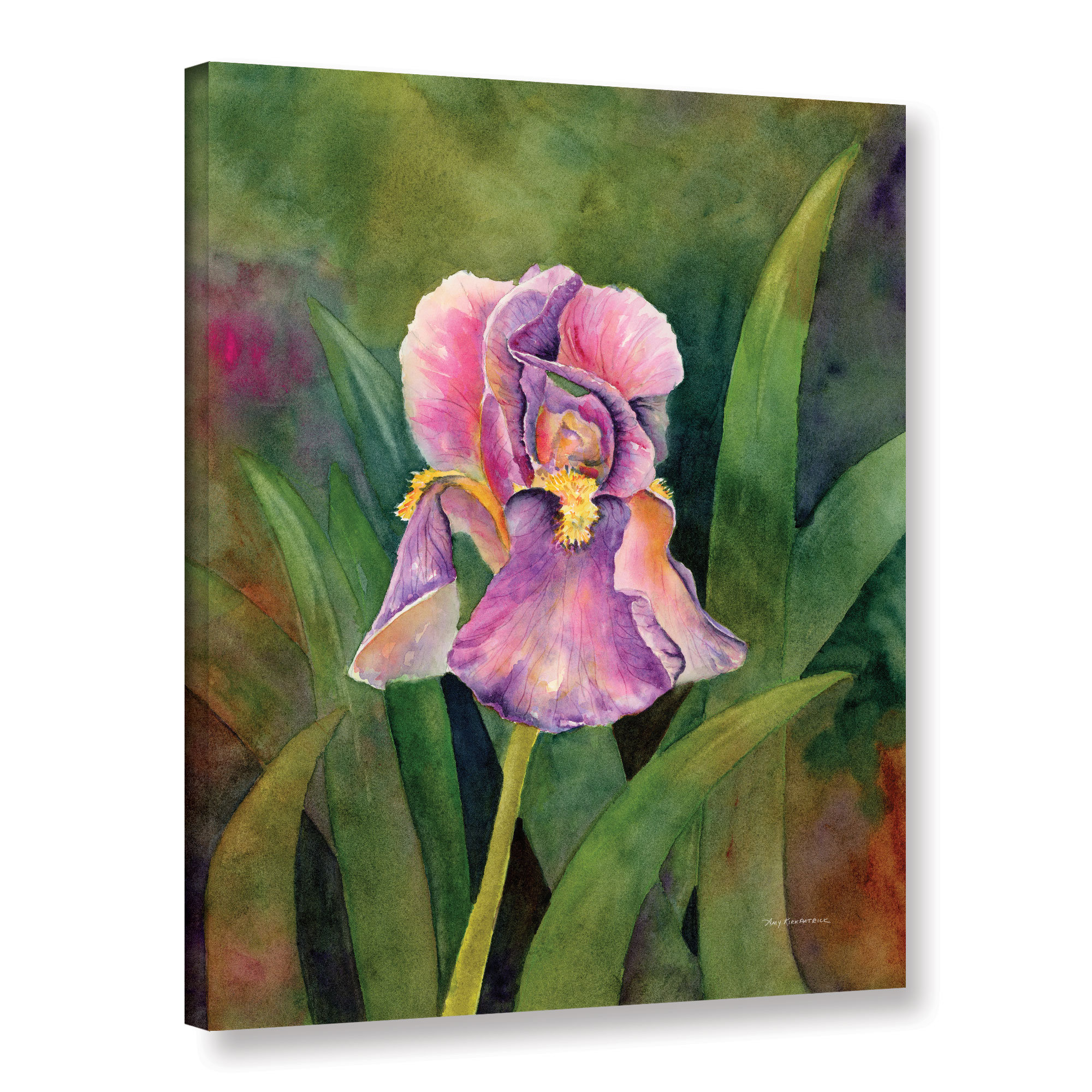 Red Barrel Studio® Iris Painting Print on Wrapped Canvas - Wayfair Canada