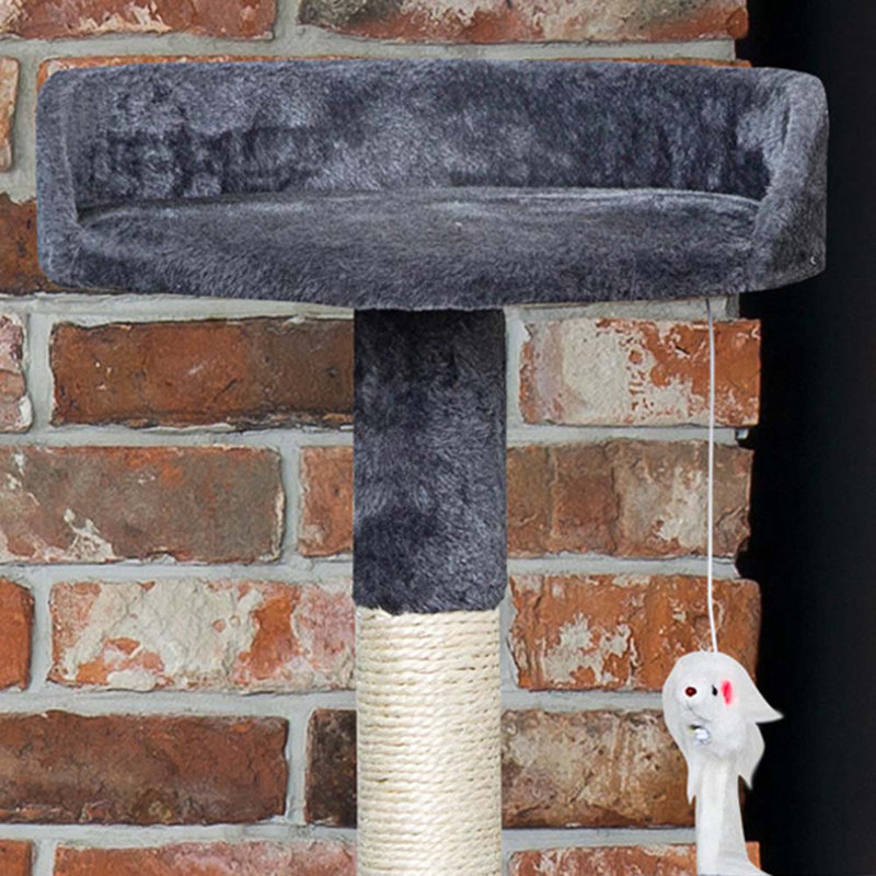 Archie & Oscar™ 49" Raul Cat Tree & Reviews | Wayfair