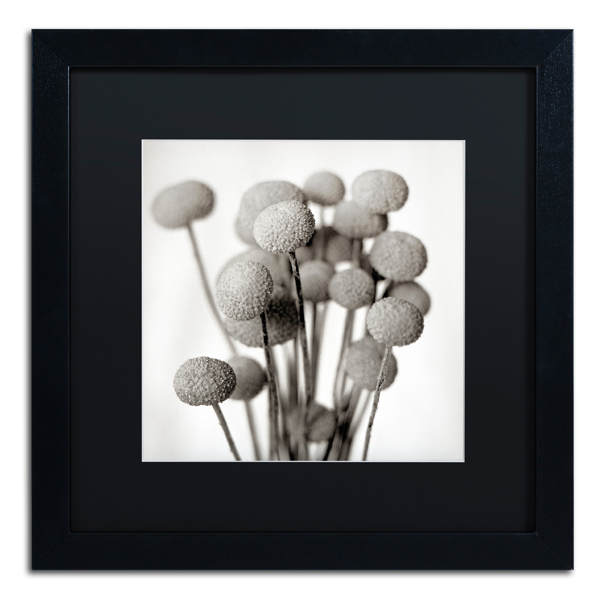 Ebern Designs Alan Blaustein 'Florison XXXIII' Framed Photographic ...