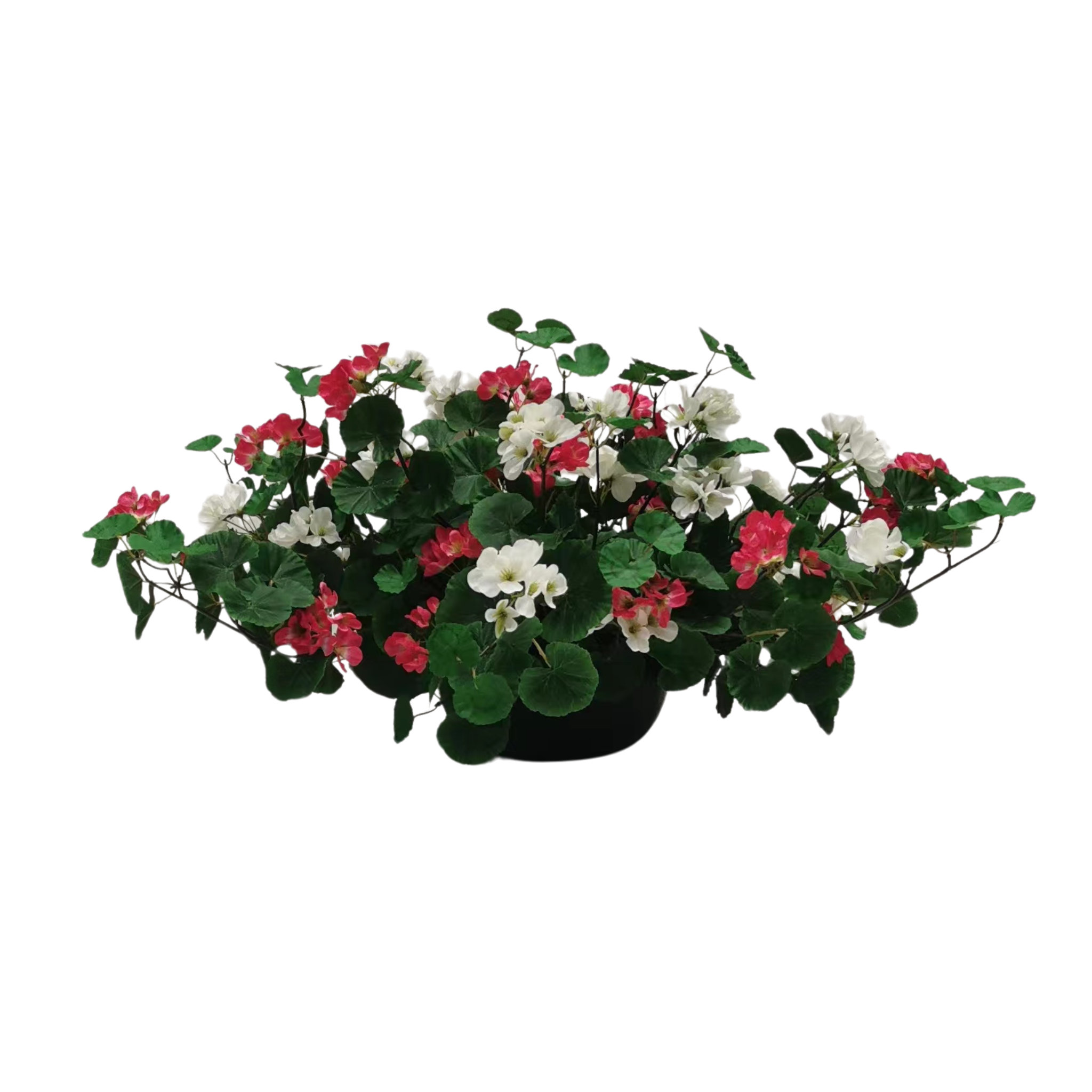 Primrue Urn Filler Geranium | Wayfair