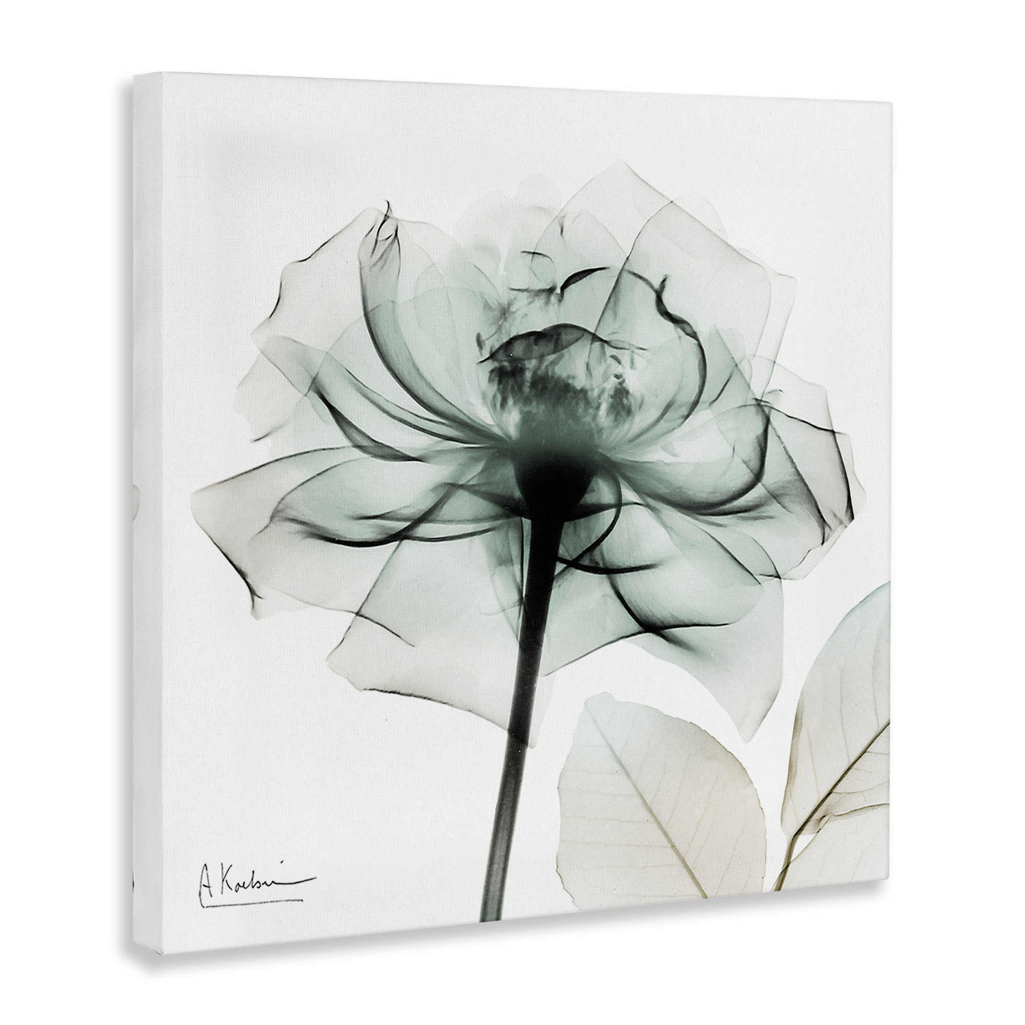 Ebern Designs Transparent Flower Blossom Canvas, design by Albert ...