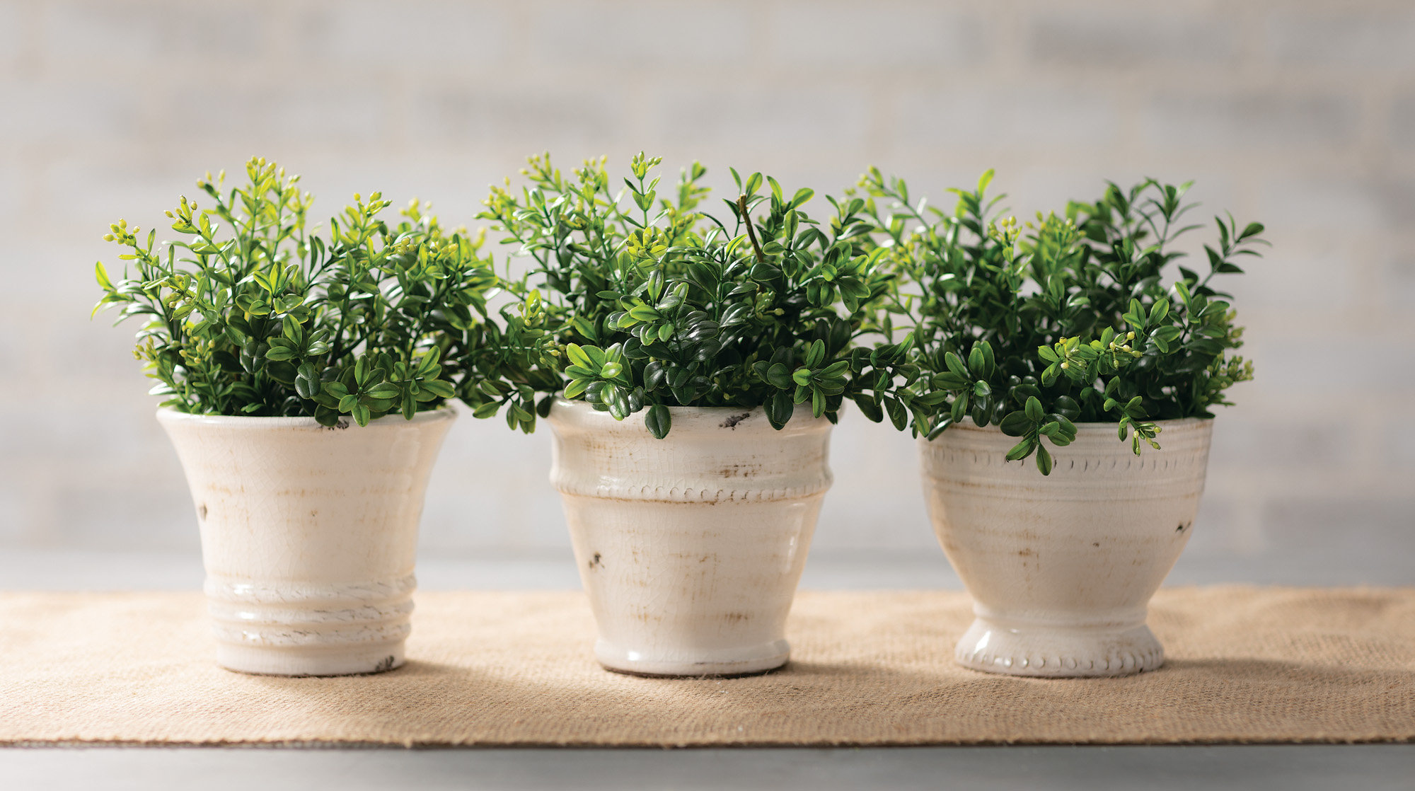 One Allium Way® Hugh 3 Piece Ceramic Pot Planter Set & Reviews | Wayfair