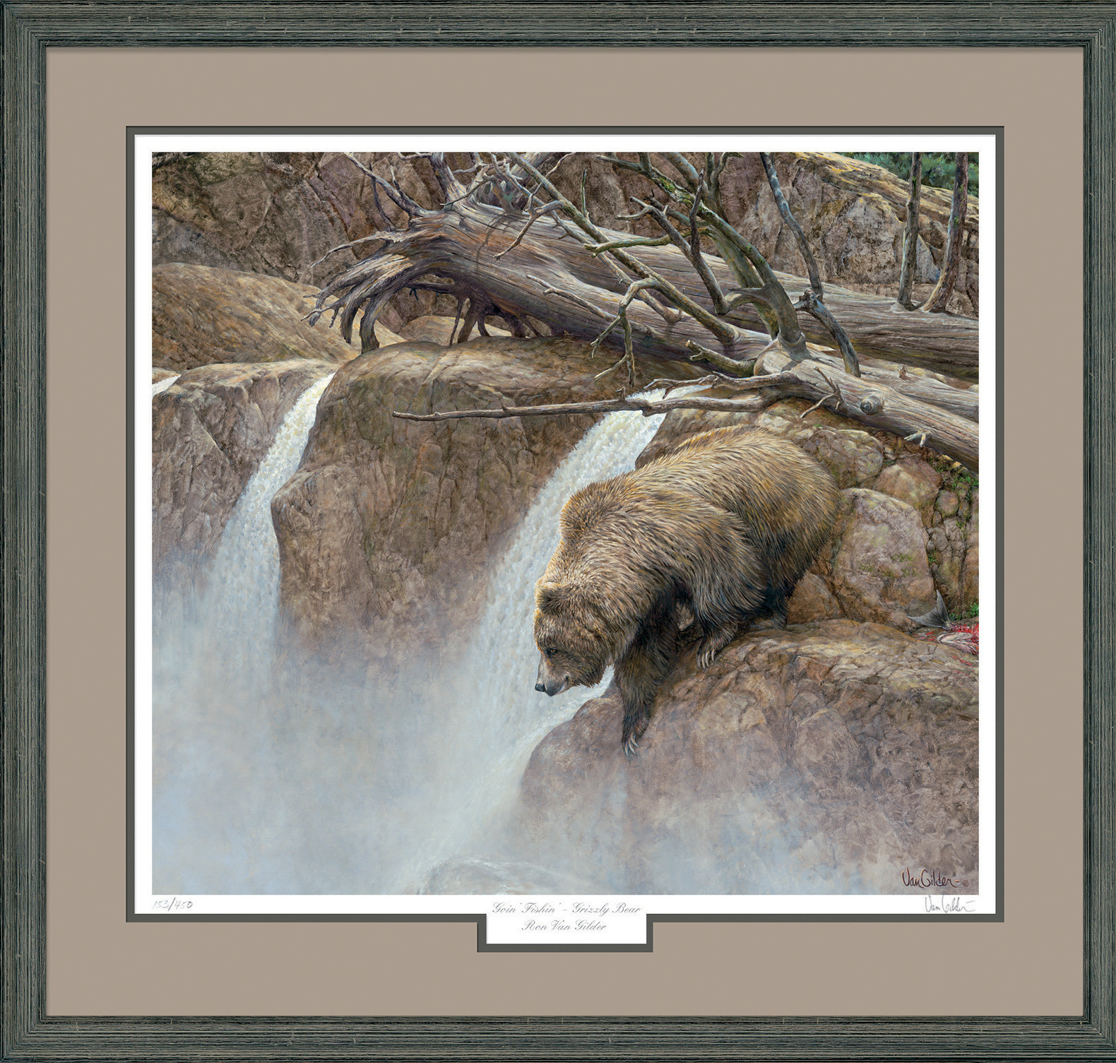Wild Wings 'Goin' Fishin' by Ron Van Gilder Framed Painting Print | Wayfair