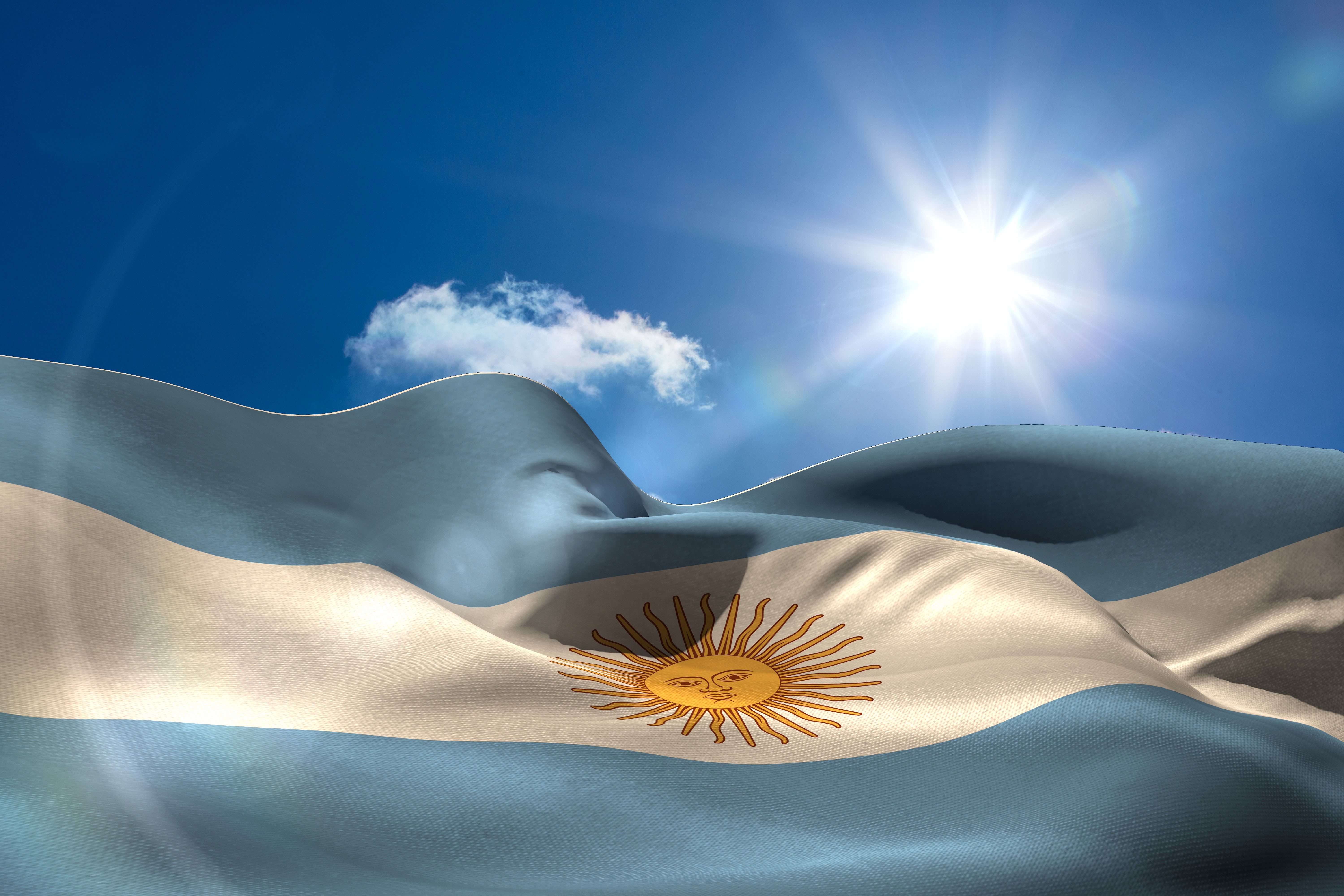 Hokku Designs Merrisa Argentina National Flag On Canvas by ...