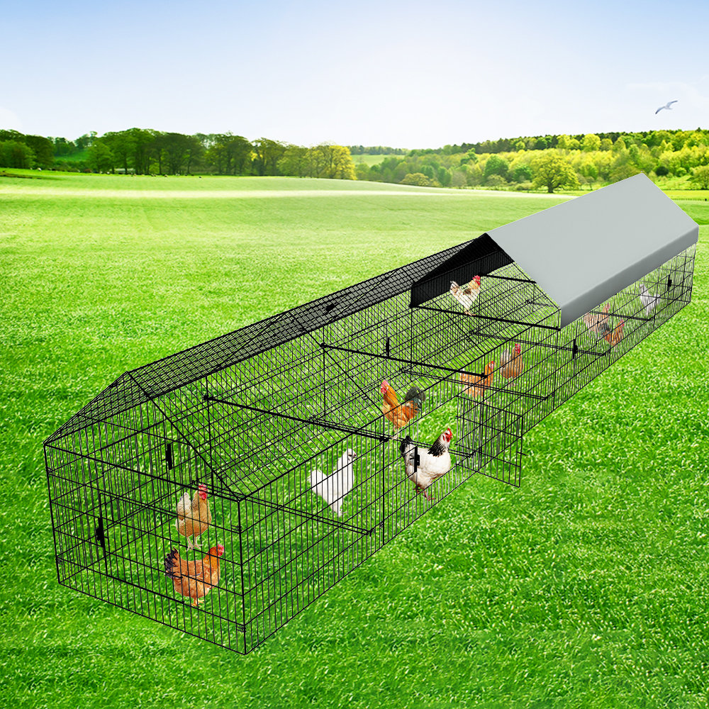 Tucker Murphy Pet™ Norberto 252" x 42" x 44" Large Chicken Coop Pet ...