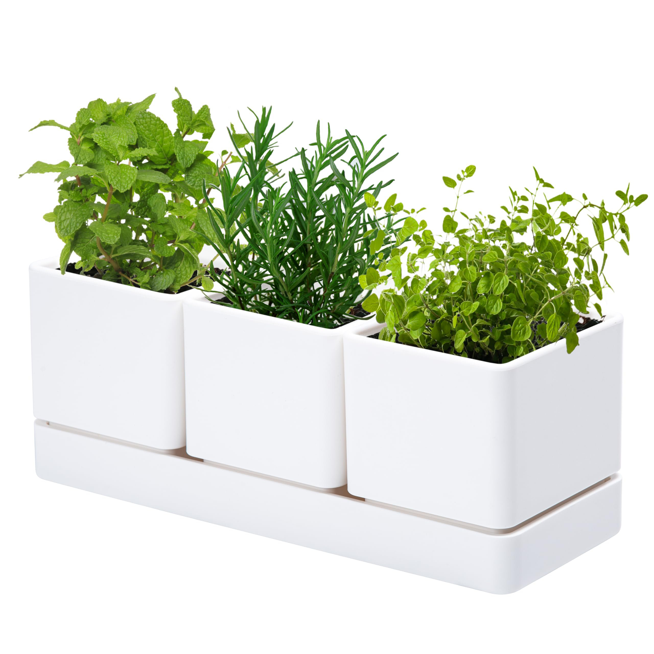 Latitude Run® Herb Garden Planter Set, Plastic Plant Pots With Drainage ...