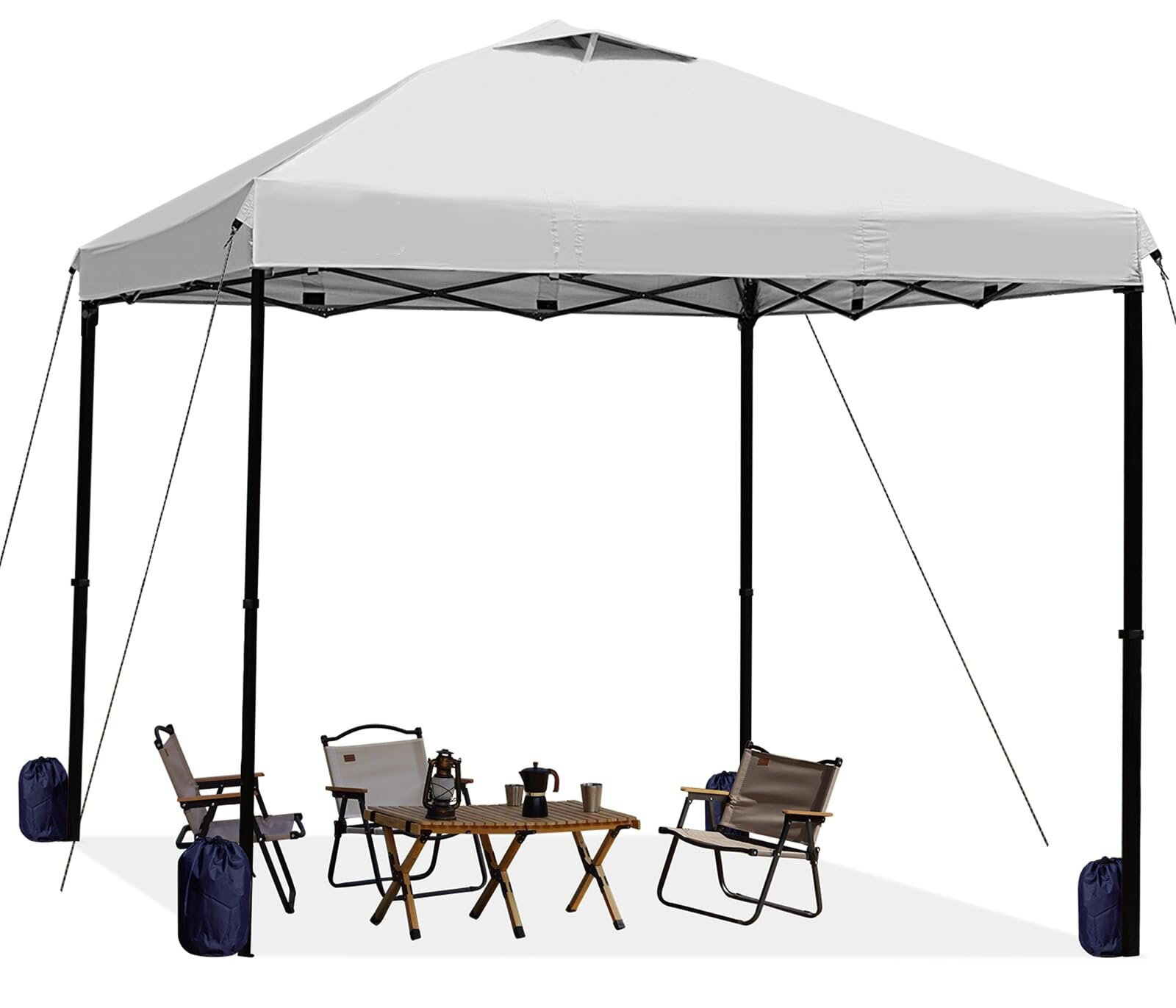 OLHAV 10x10 Pop Up Shade Canopy Tent - Wayfair Canada