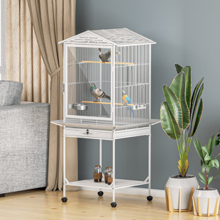 Bird Cages You'll Love | Wayfair