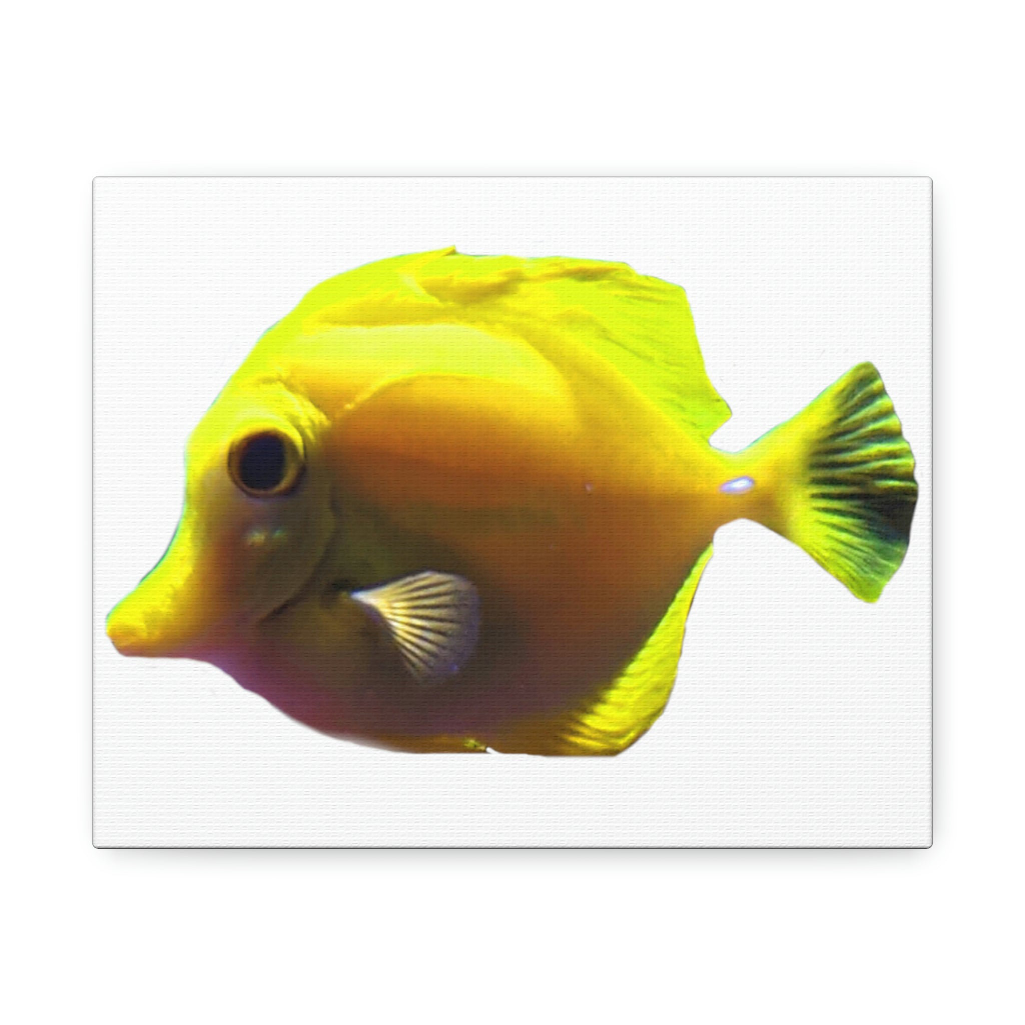 Rosecliff Heights Yellow Fish Stretched - Unframed Illustration on ...