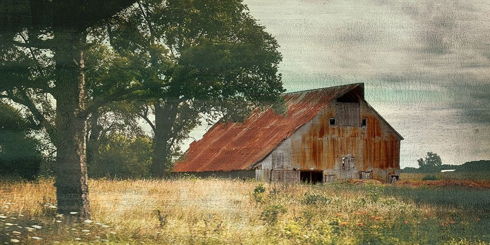 Rosalind Wheeler Country Life Poster Print By Ann Bailey (24 X 12 ...