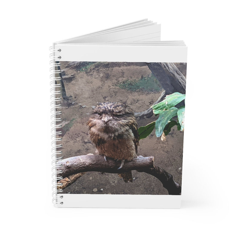 Marick Booster Bird Owl Notebook | Wayfair
