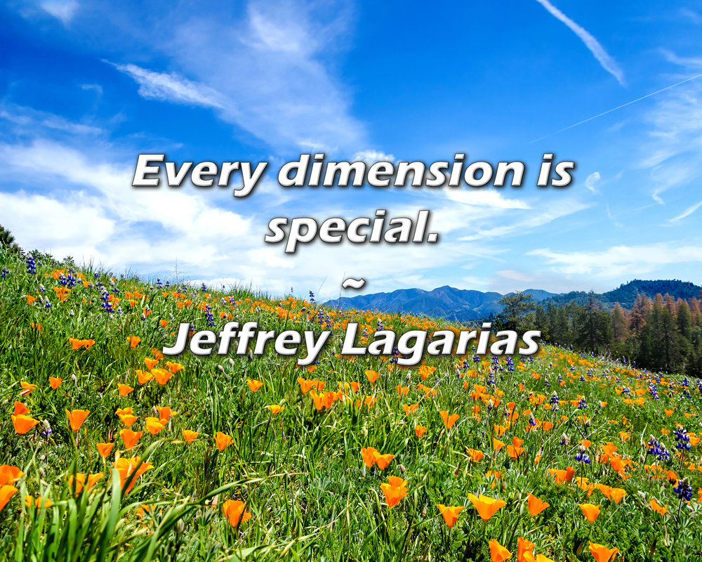 Gracie Oaks Jeffrey Lagarias Quote: Every dimension is special. | Wayfair