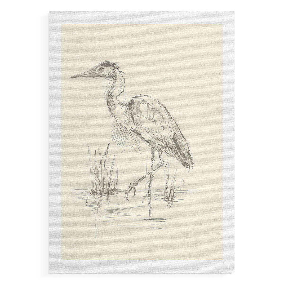 Fleur De Lis Living Waterbird Sketchbook Study II -Canvas Print Only ...