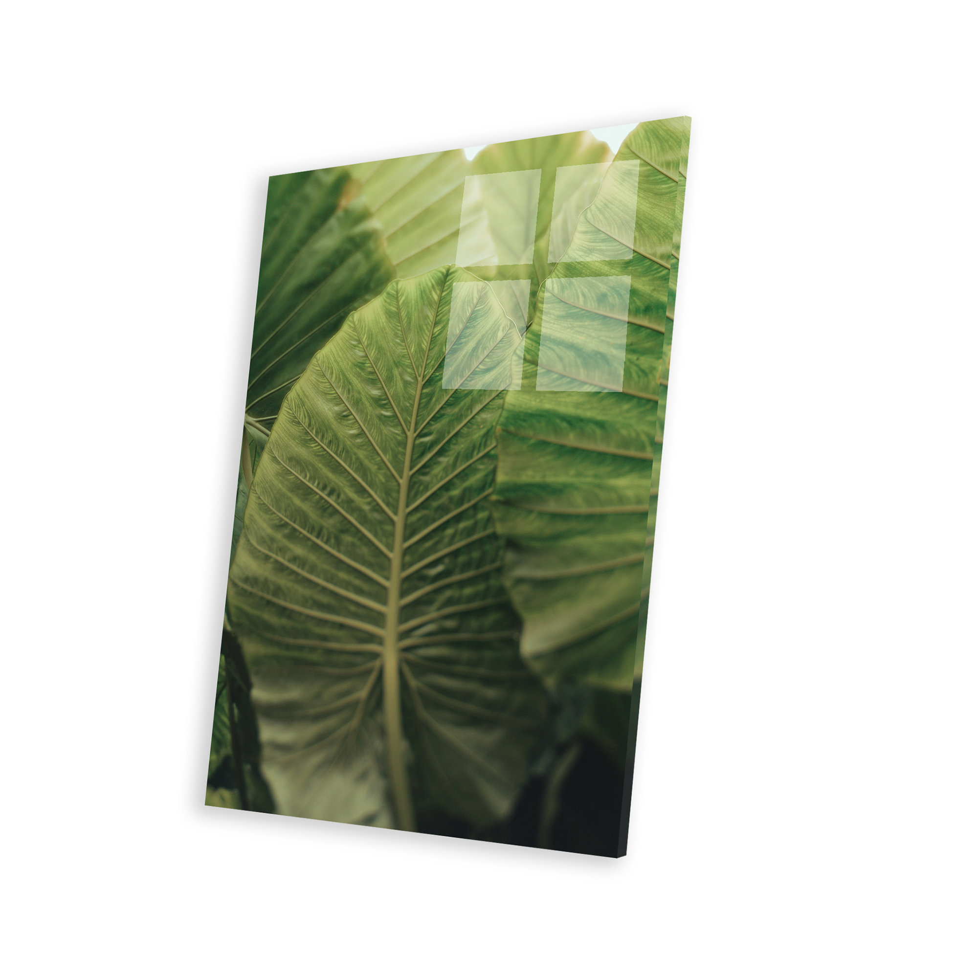 Bay Isle Home™ Be Present Print On Acrylic Glass | Wayfair